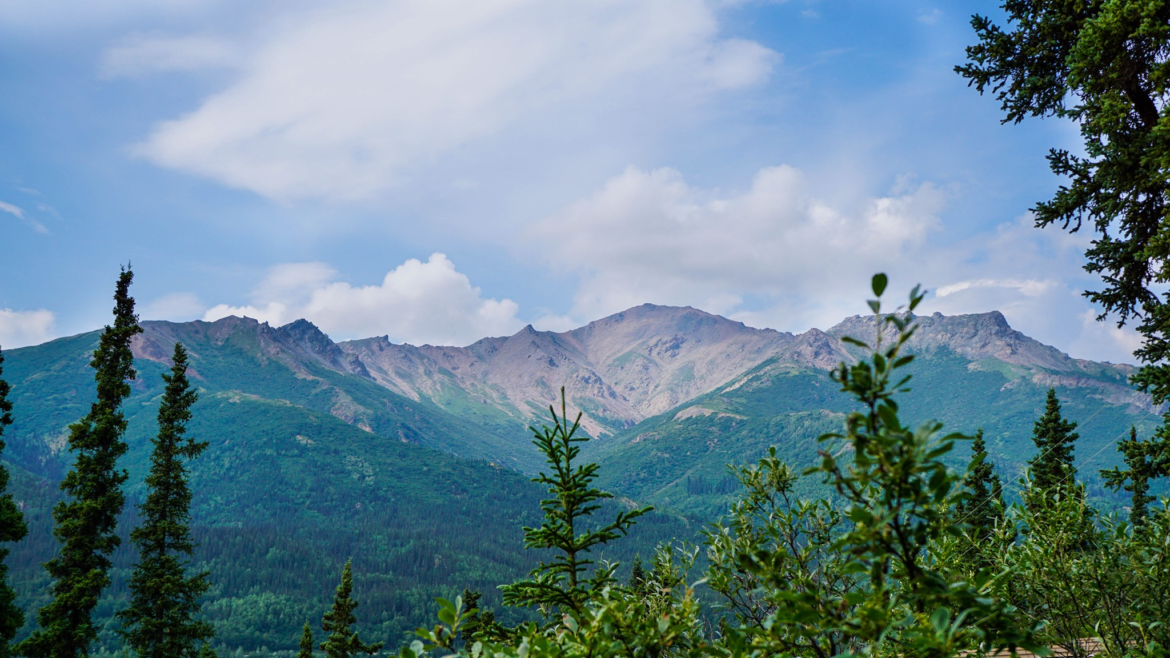 Denali Crows Nest Cabins/Healy/Alaska - iHappyEducation
